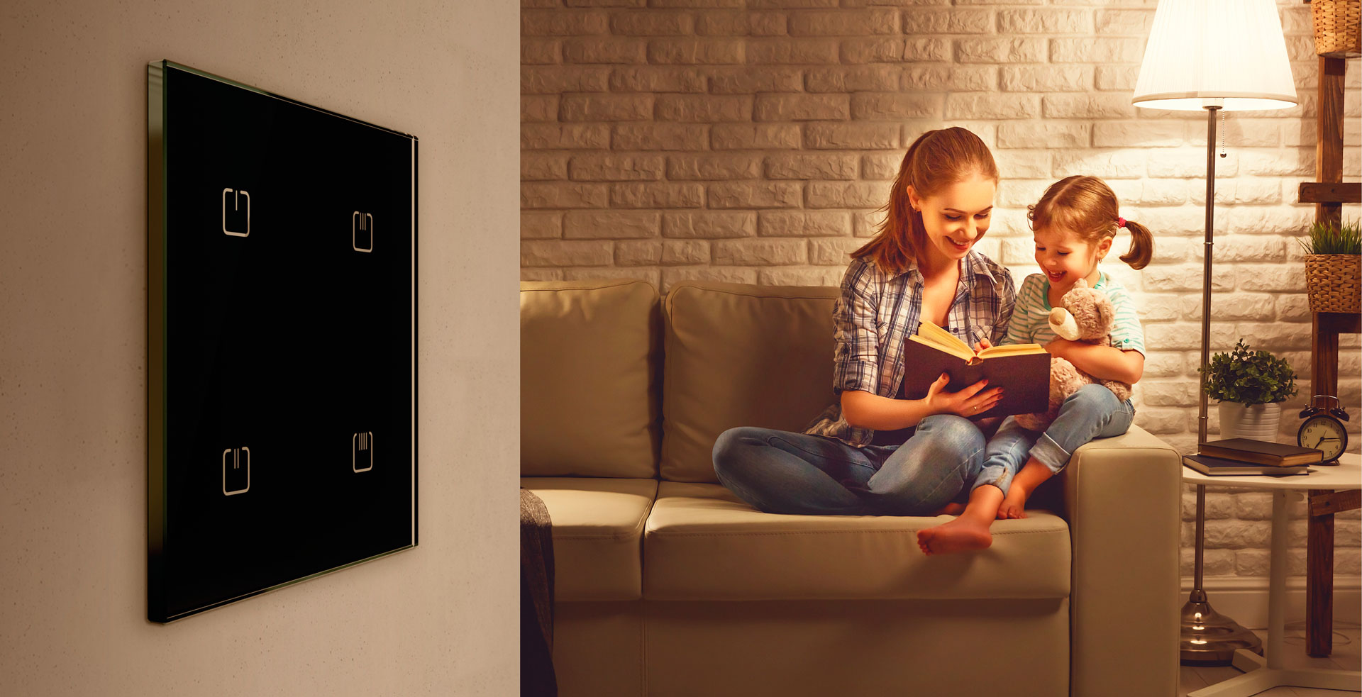 System control units - Inels Wireless